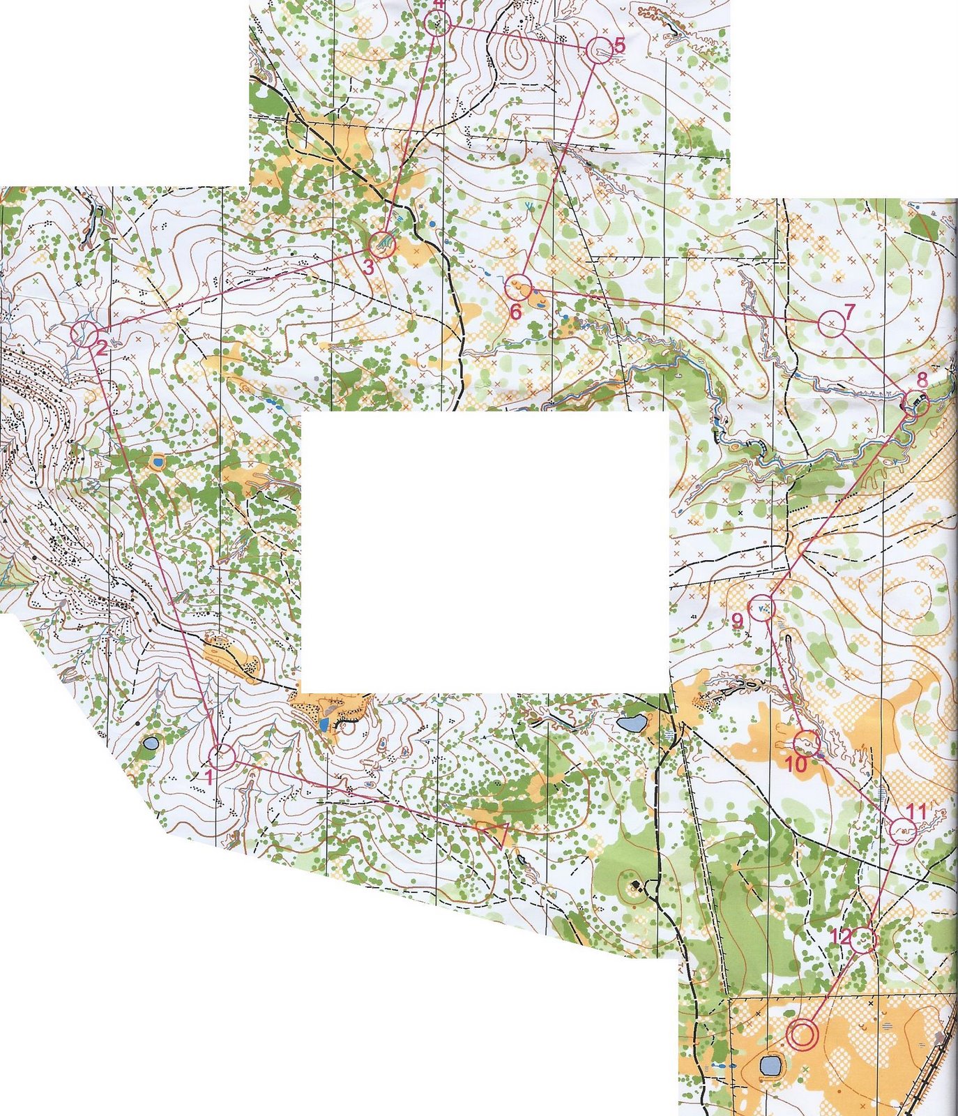Orienteering in South East Queensland: August 2007